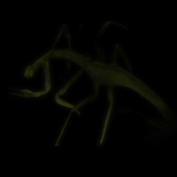 Steam 上的 SCP – Containment Breach