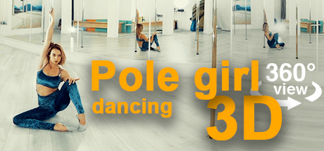 My World in 360: Pole dance girl Packages (App 1069300) · SteamDB