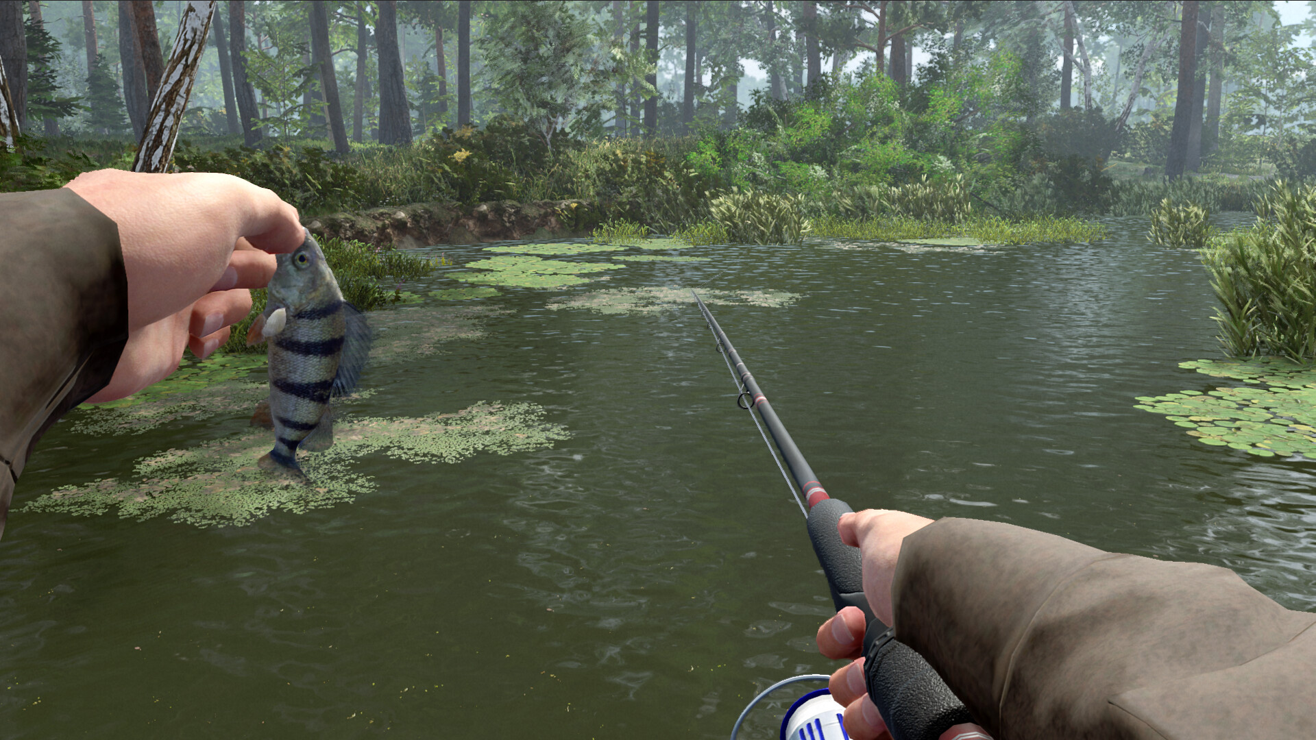 Professional Fishing 2 on Steam