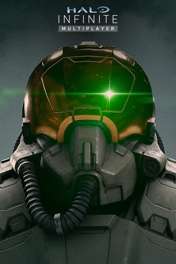 Halo Infinite Steam Charts · SteamDB