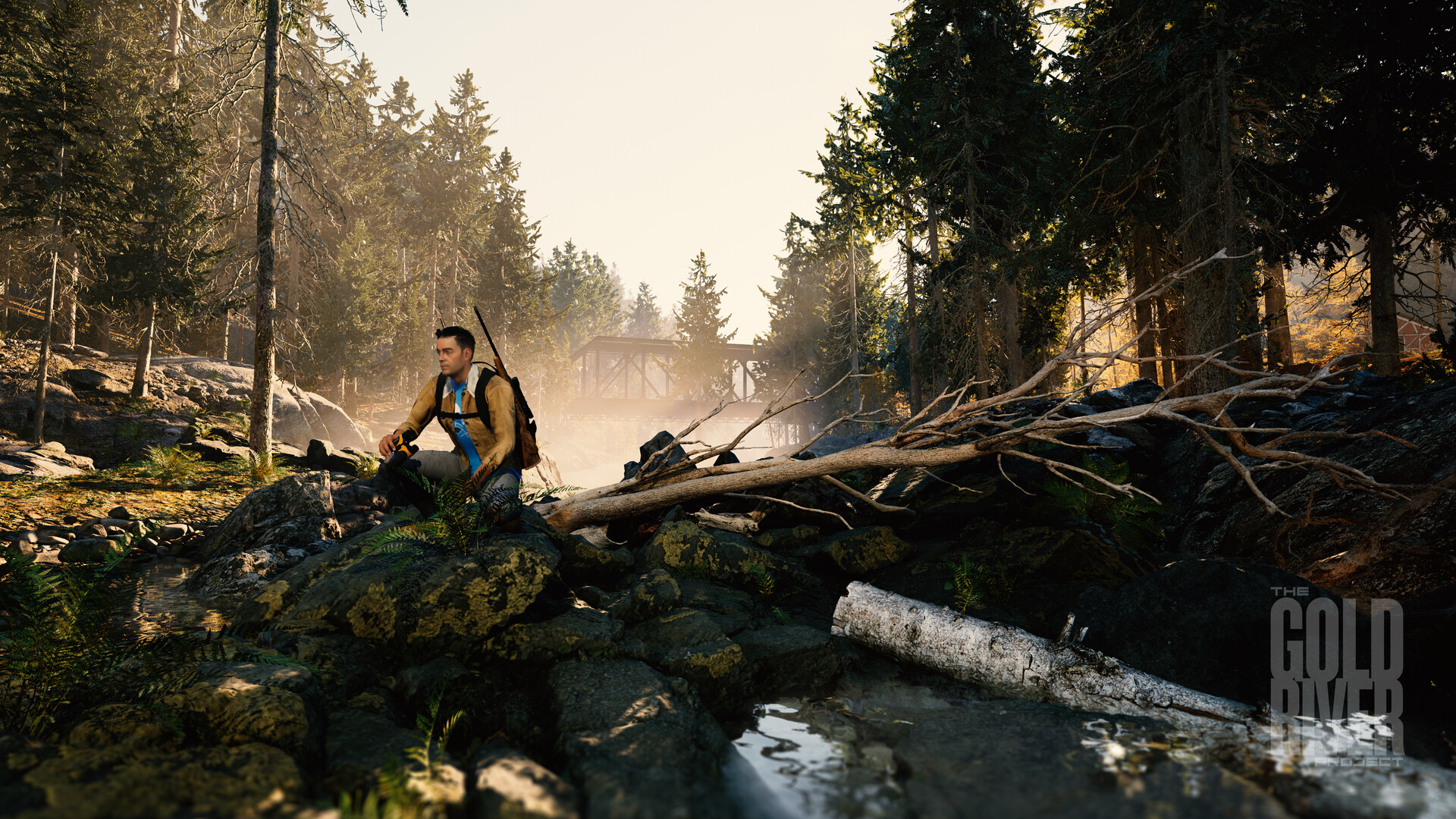 Unlock The Gold River Project CD Key on Steam (2025) | Valid Steam Keys