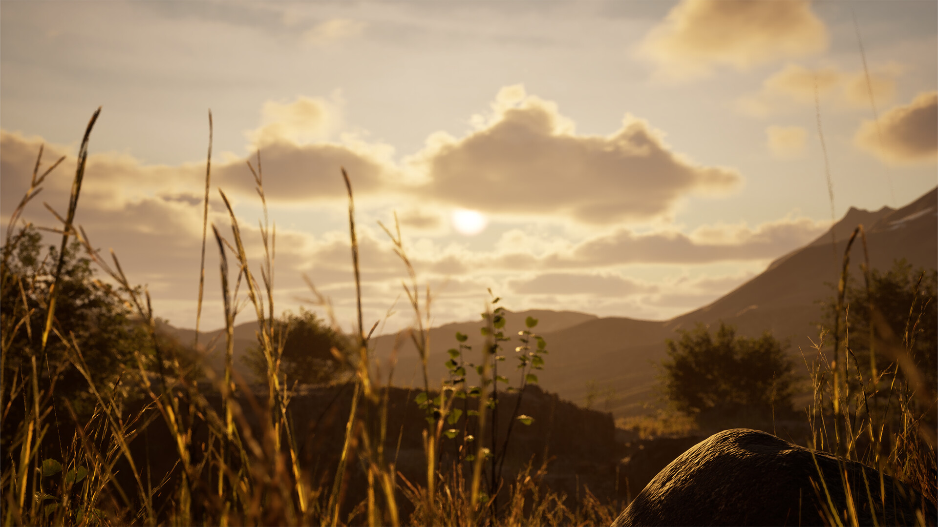 Stone Simulator – Just Be a Rock on Steam