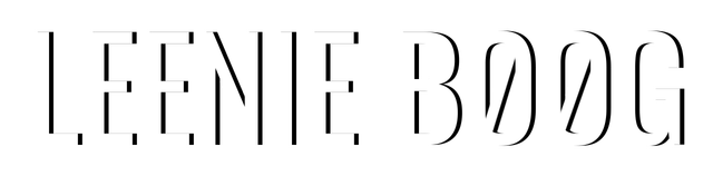Leenie Boog Price history · SteamDB