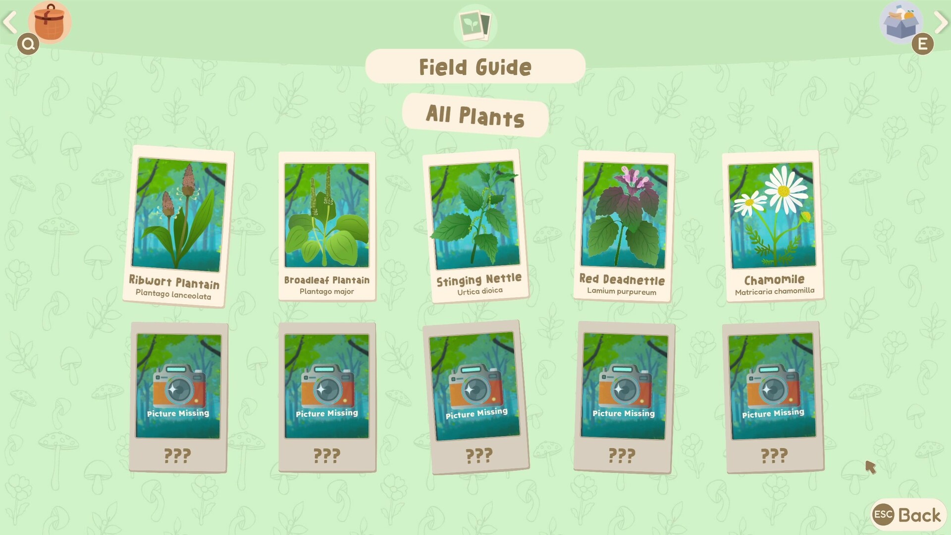 Out and About on Steam