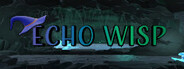 Echo Wisp - Bug Fix - Steam News