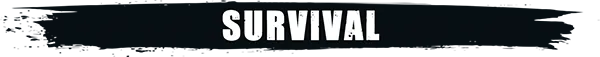 Survival Nation on Steam