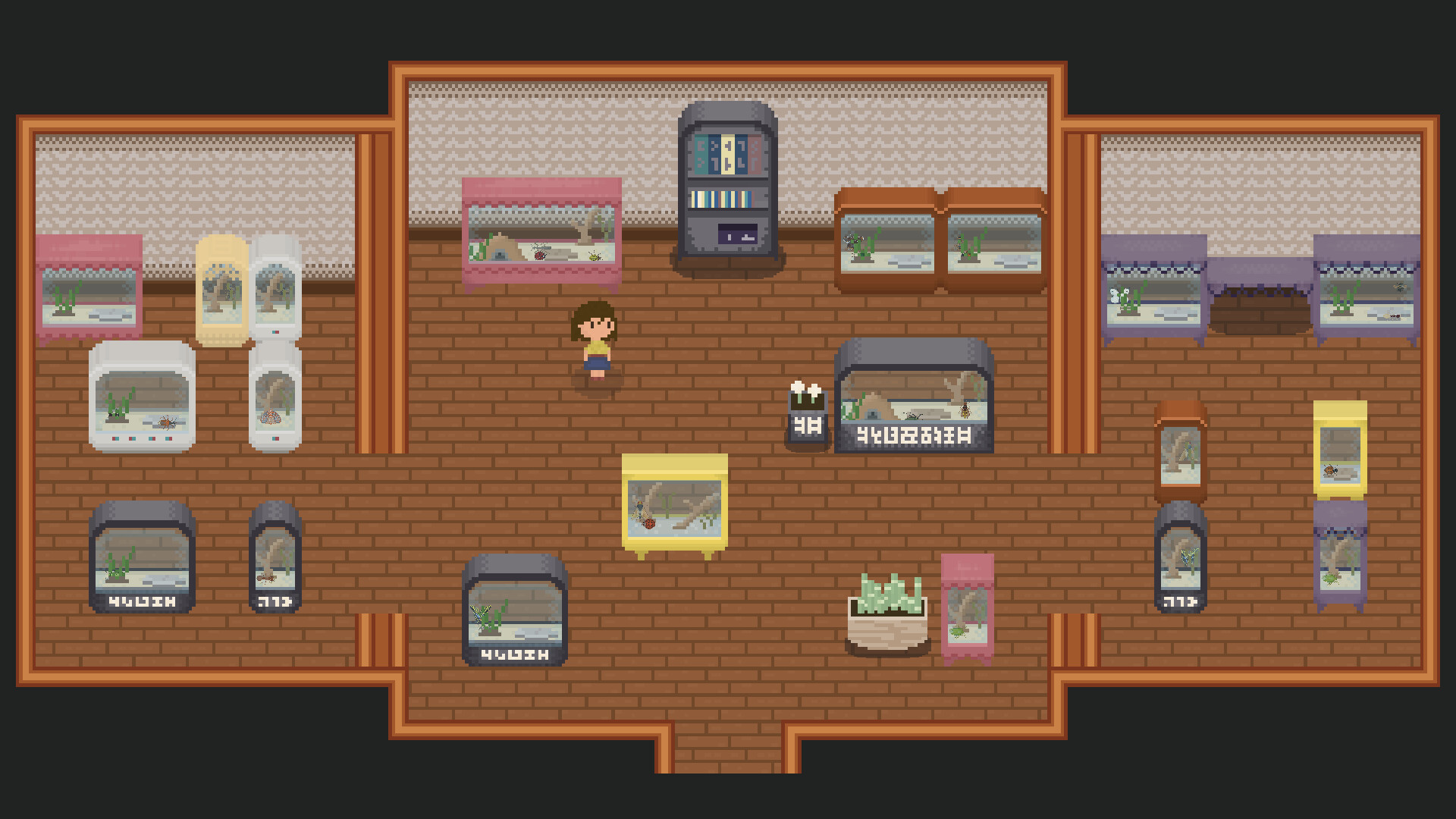 Bug & Seek on Steam