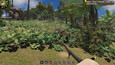 Island Notes on Steam