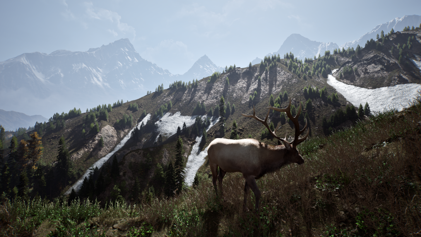 Untamed Kingdom · SteamDB