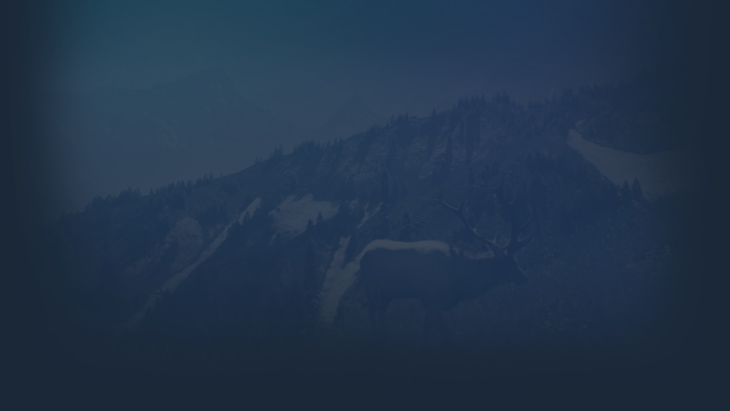 Untamed Kingdom · SteamDB