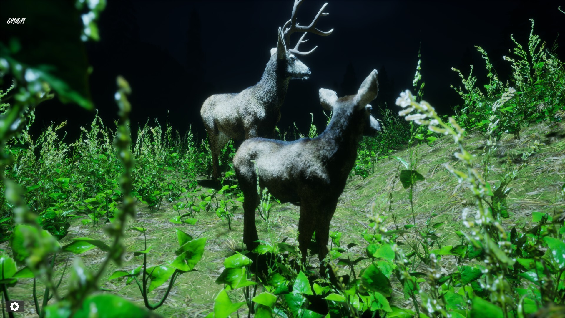 Untamed Kingdom on Steam