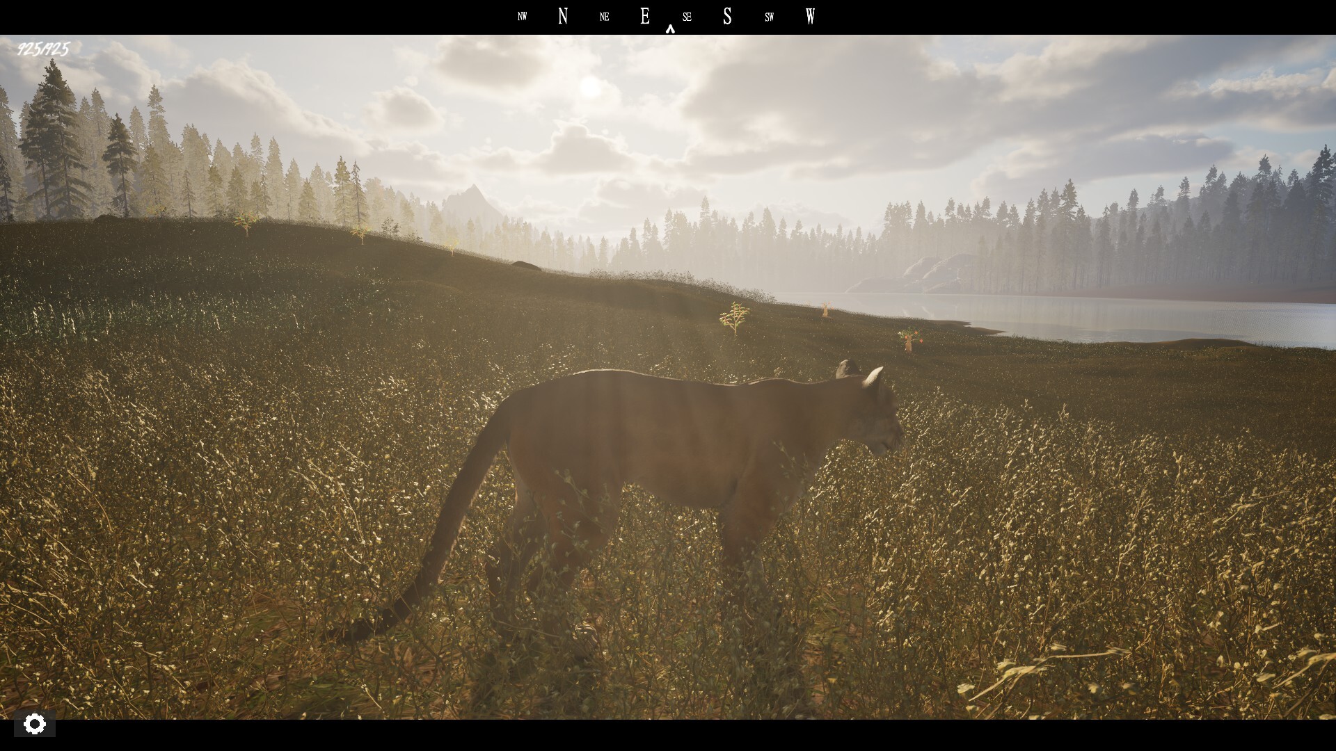 Untamed Kingdom on Steam