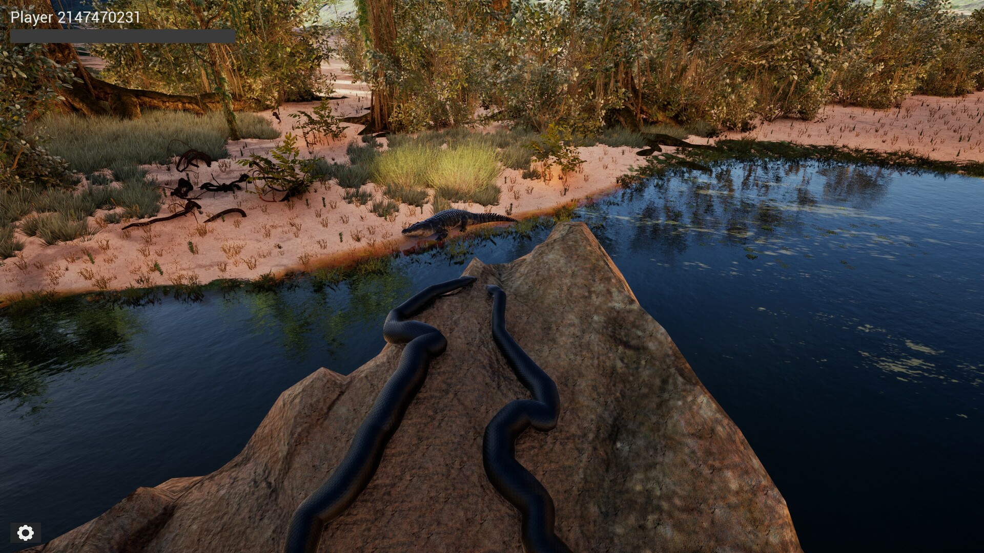 Untamed Kingdom on Steam