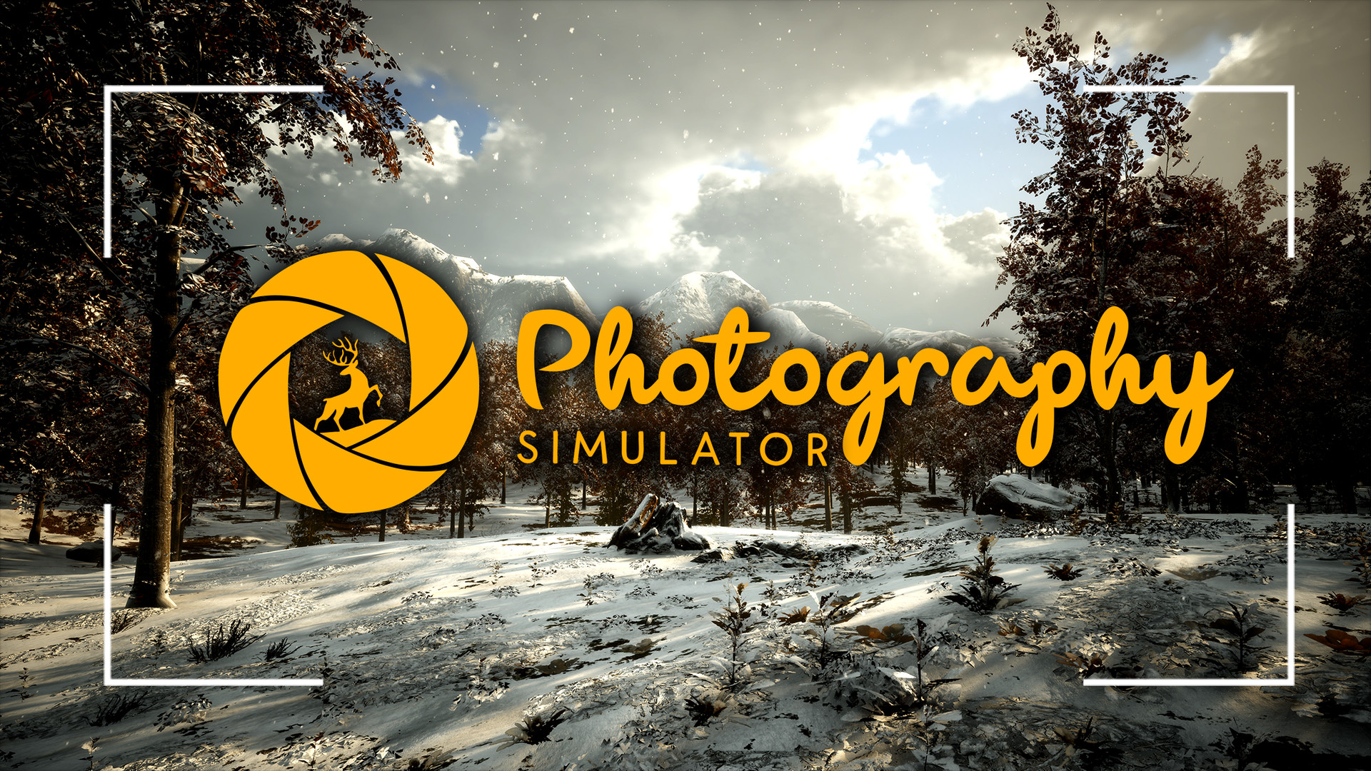 Photography Simulator · SteamDB