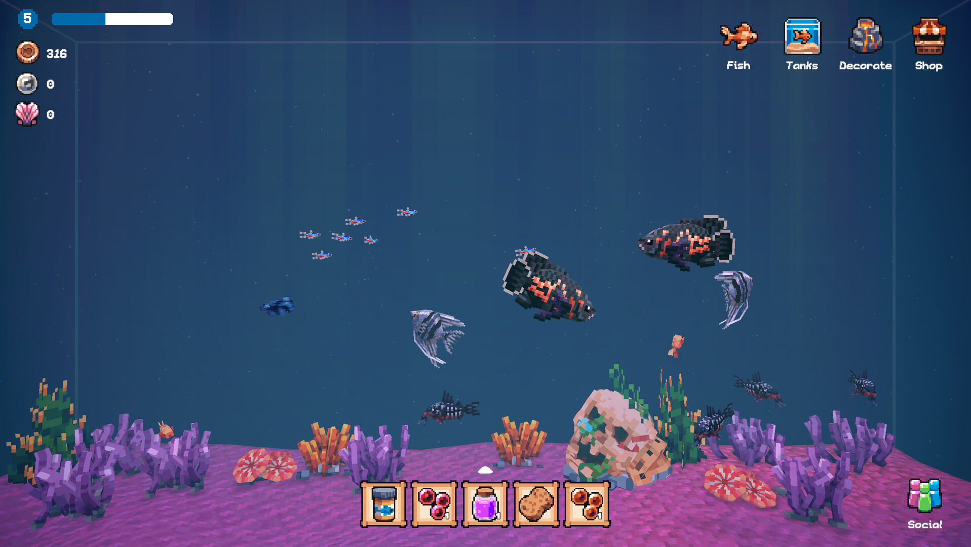 Tiny Aquarium: Social Fishkeeping on Steam
