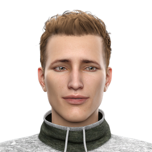 MMA Life Simulator on Steam