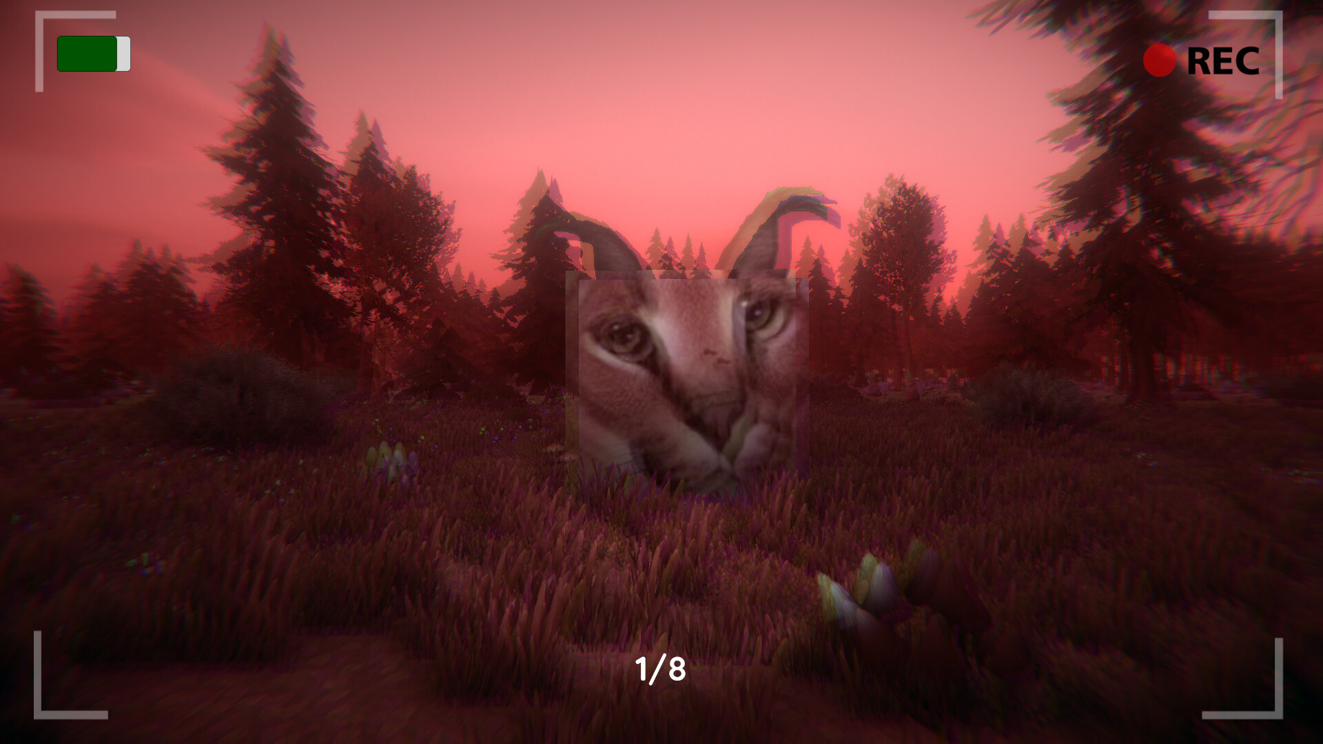 Floppa: The Dark Forest | indienova GameDB 游戏库