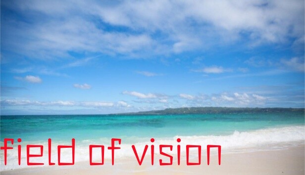 Ahorra un 51 % en field of vision en Steam