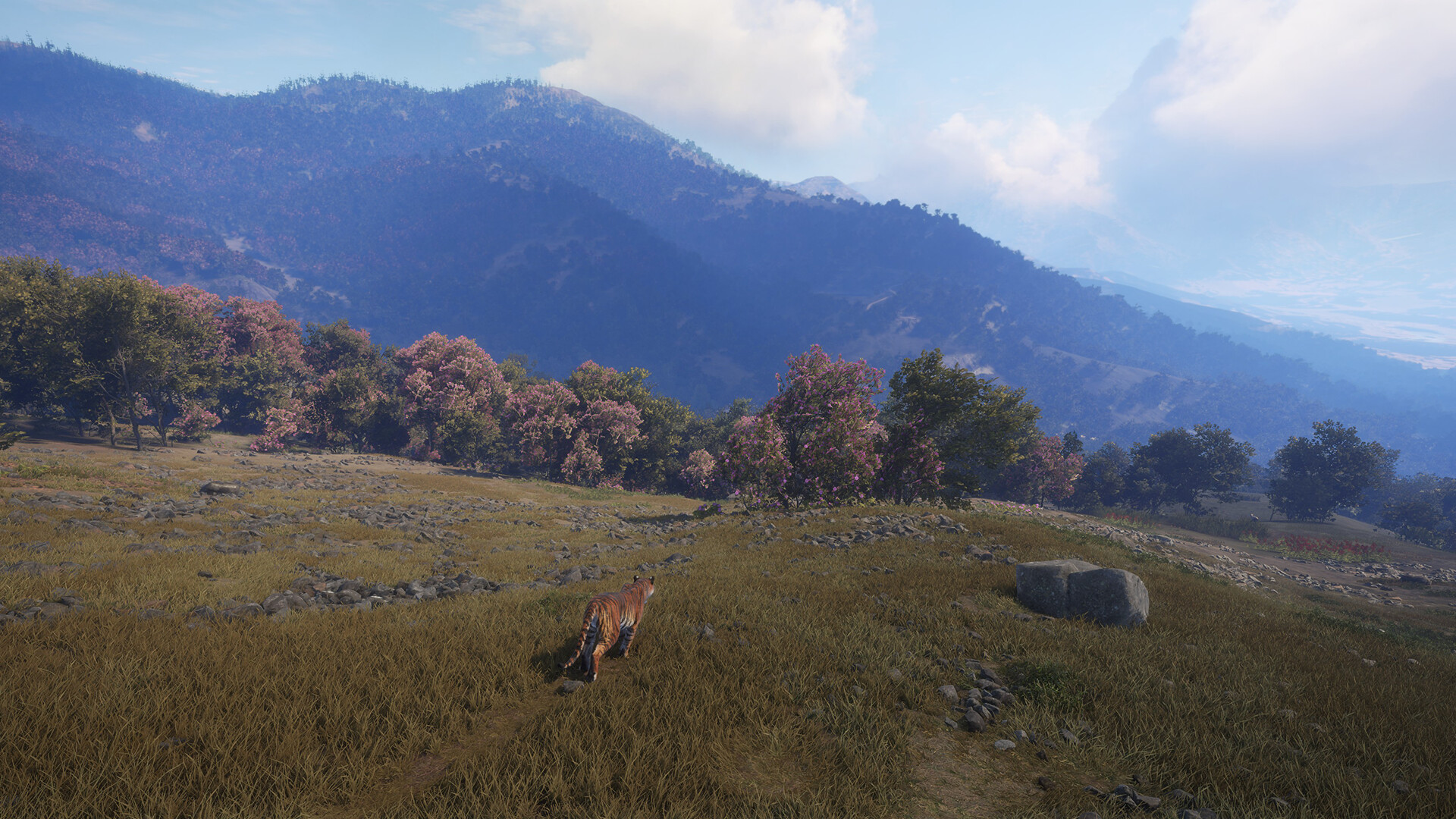 theHunter: Call of the Wild™ - Sundarpatan Nepal Hunting Reserve on Steam