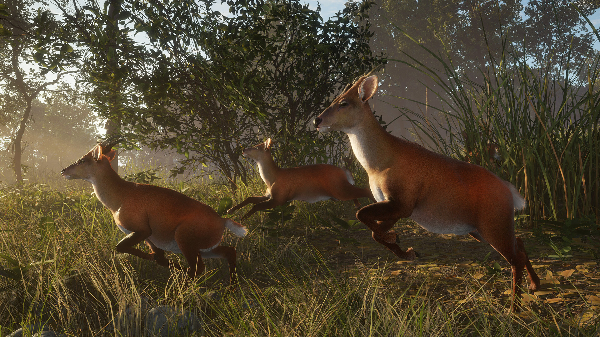 theHunter: Call of the Wild™ - Sundarpatan Nepal Hunting Reserve on Steam