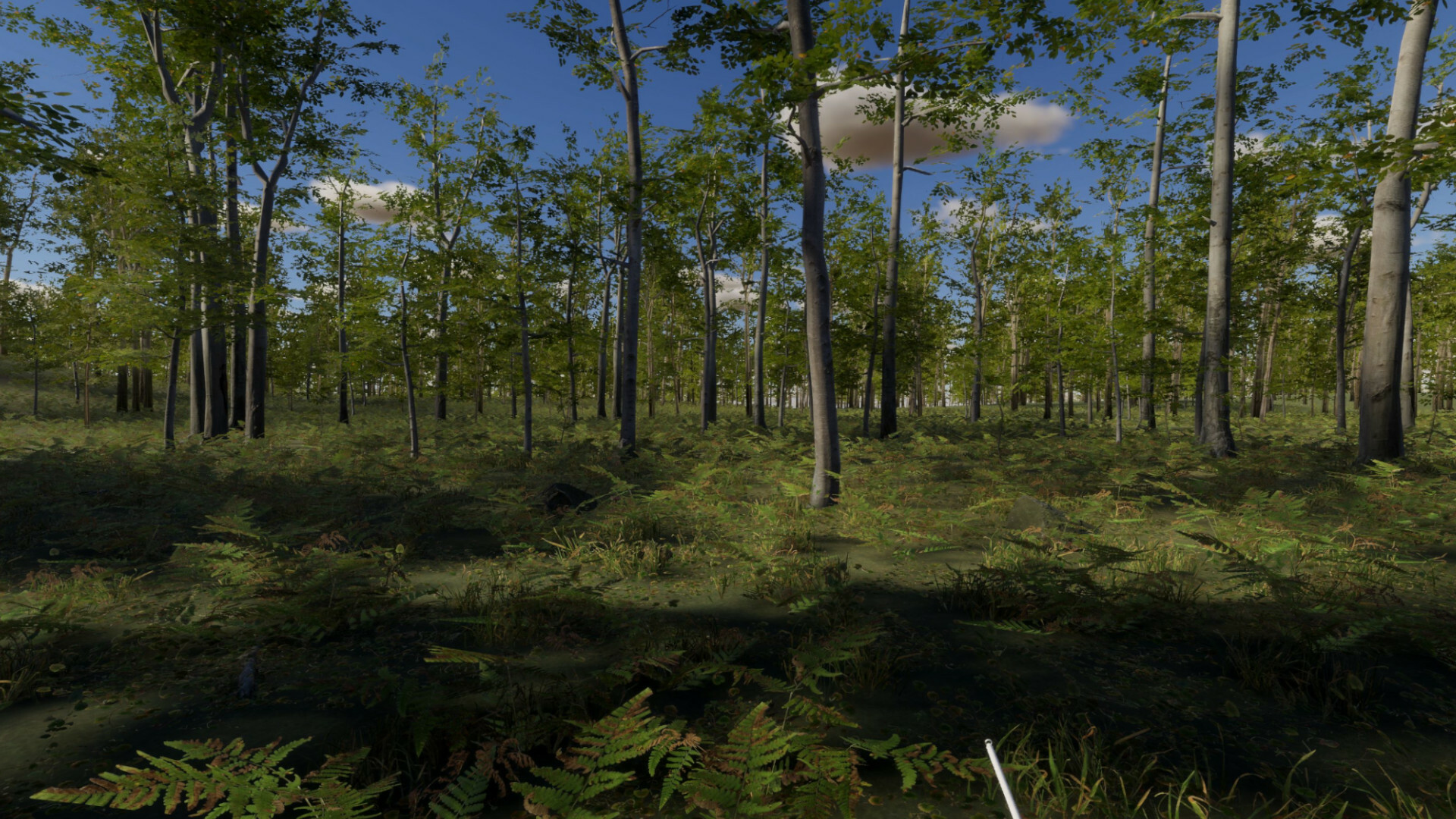 Fishing Grind on Steam