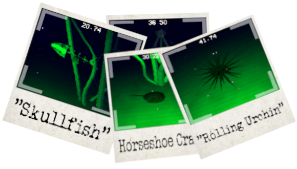 Call of the Deep on Steam