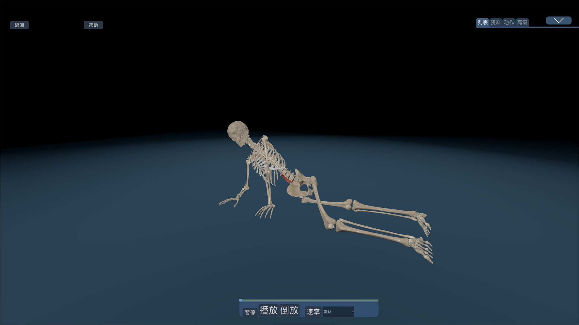 Kinetic Anatomy 3D - Advanced Animation Scenes Package on Steam