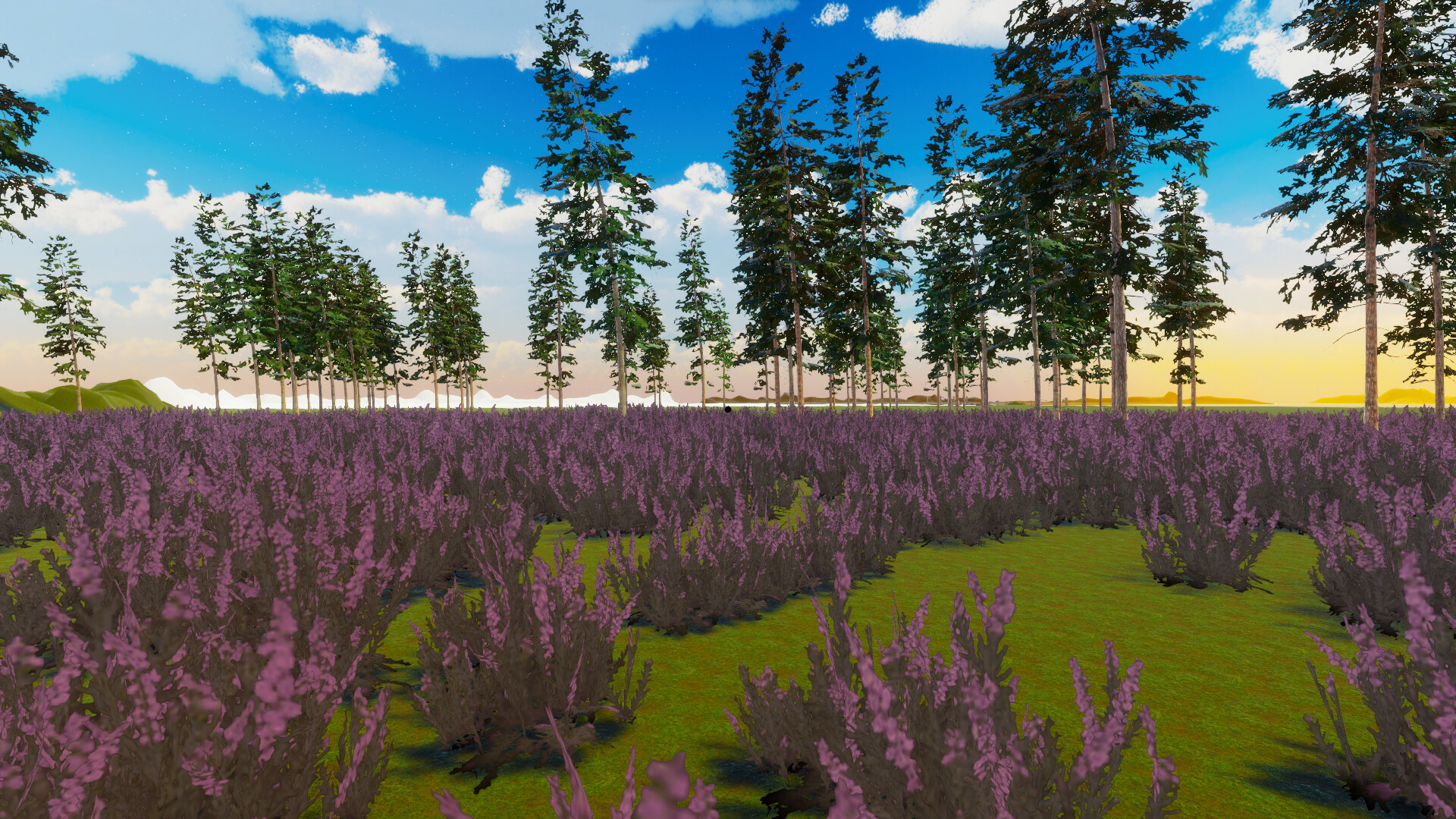 No Name Game on Steam