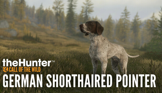 theHunter: Call of the Wild™ - German Shorthaired Pointer - Steam News Hub