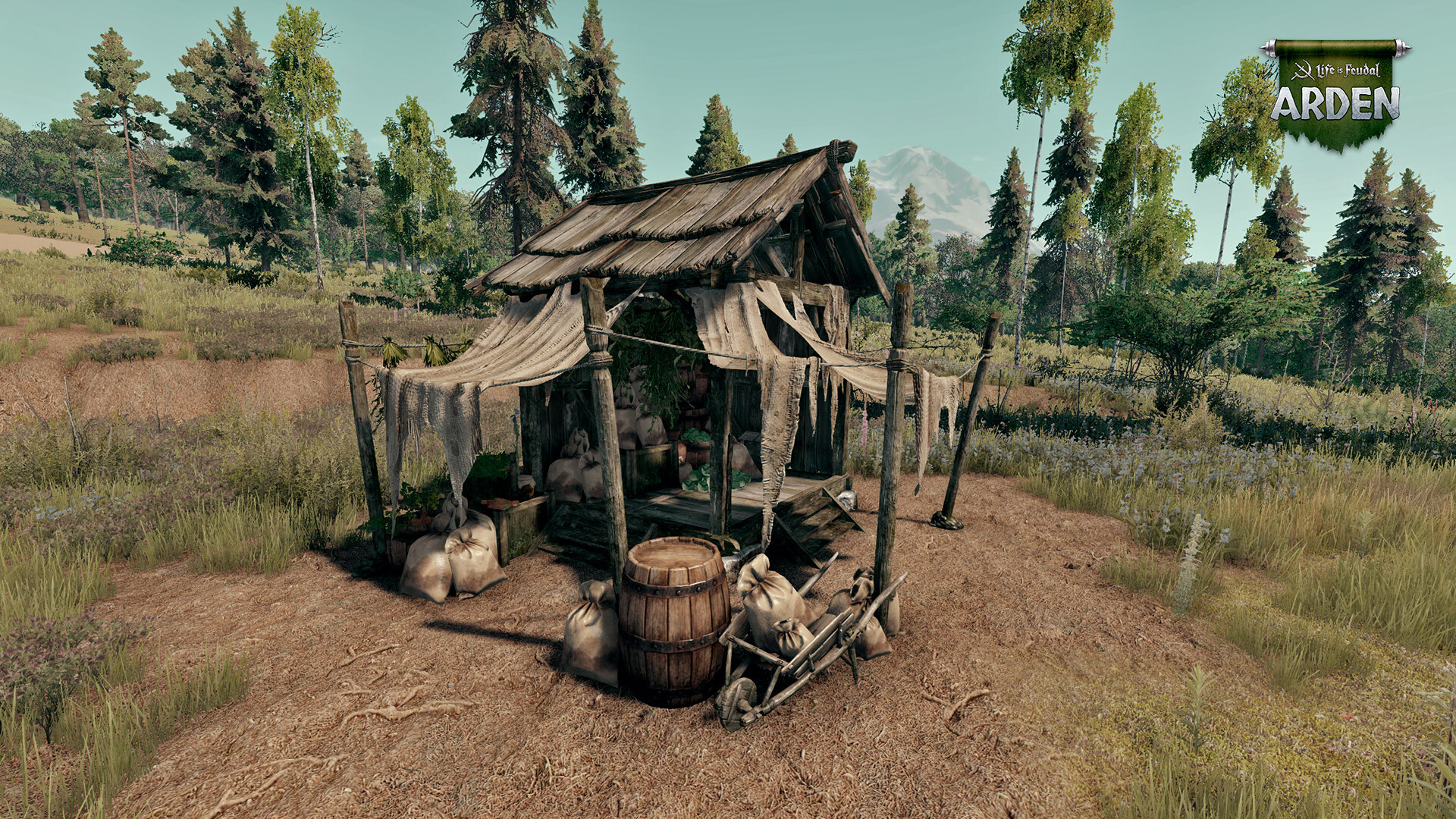 Life is Feudal: Arden on Steam