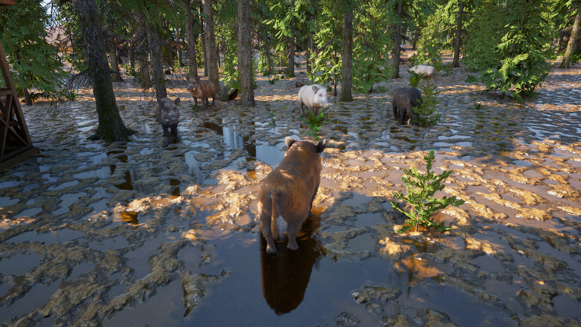 Wild Terrain on Steam