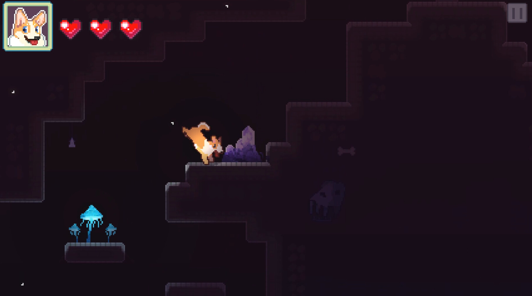 TailScape: The corgi’s Advendture on Steam