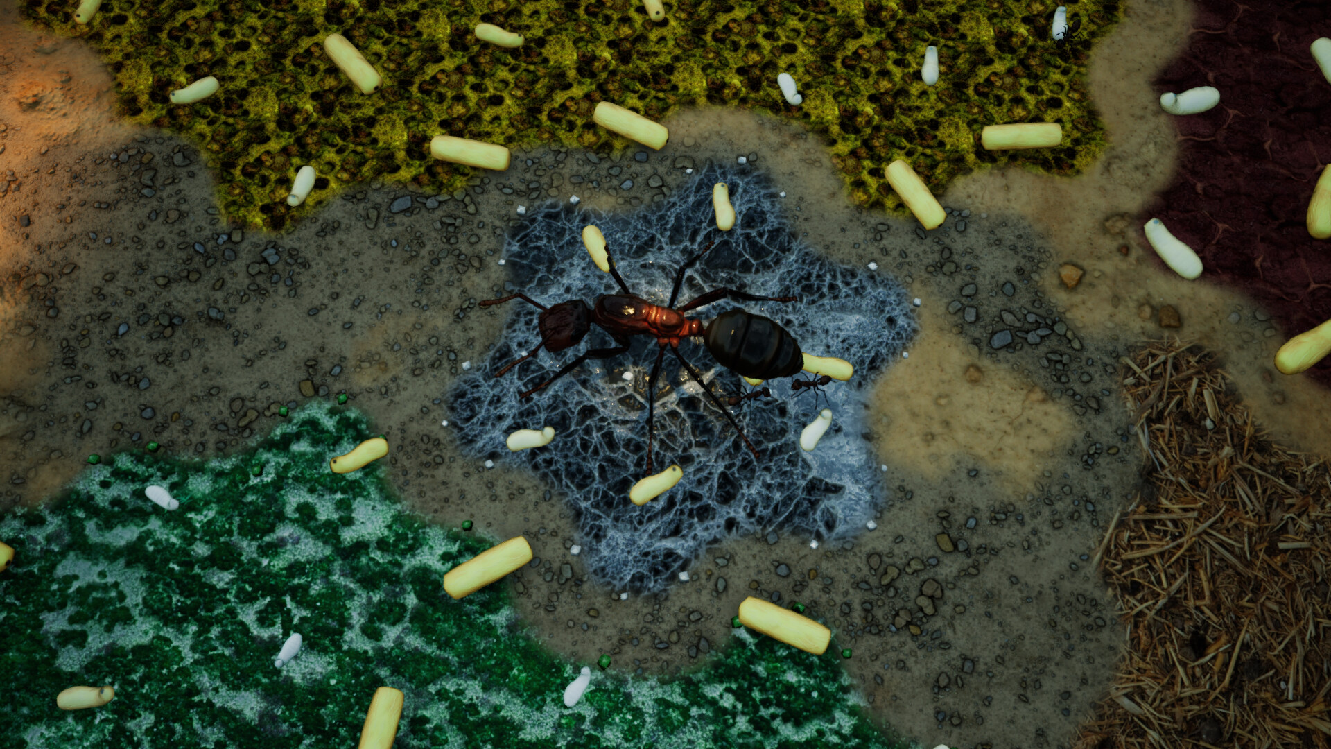 Empires of the Undergrowth - Exploding Ants on Steam
