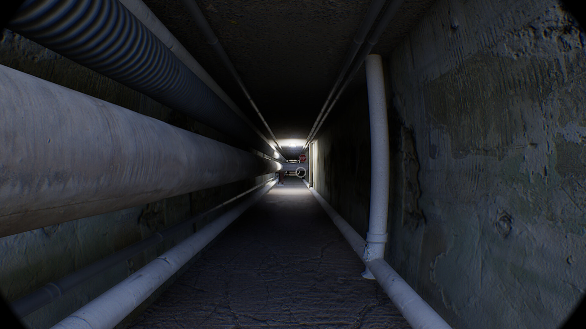 Running Through Backrooms on Steam