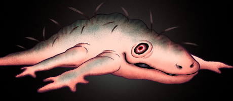 Anomaly Evolution on Steam