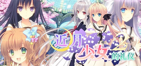 Steam Franchise: 株式会社HIKARI FIELD