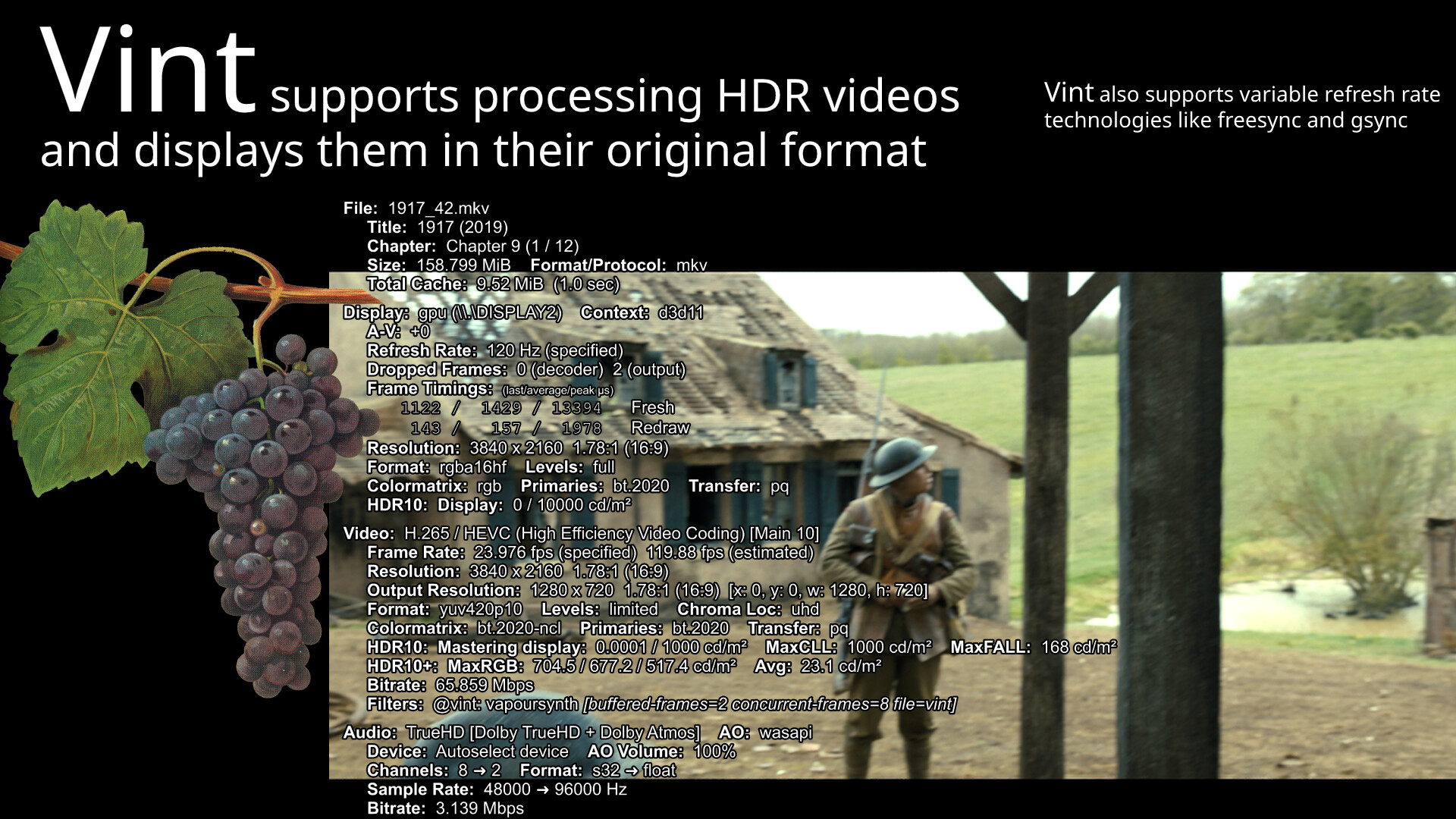 Vint: Realtime Video Interpolation and CRT Emulation on Steam