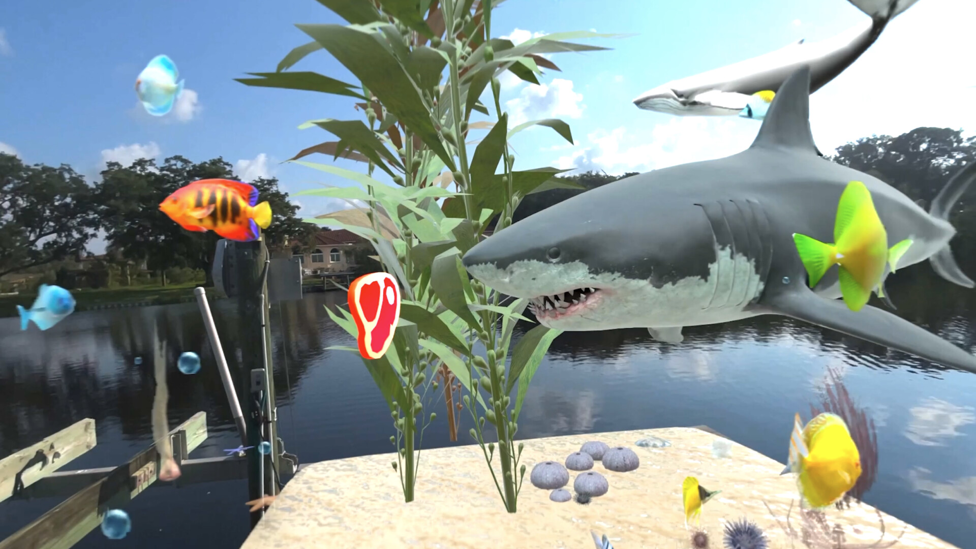 Aquarium Adventures on Steam