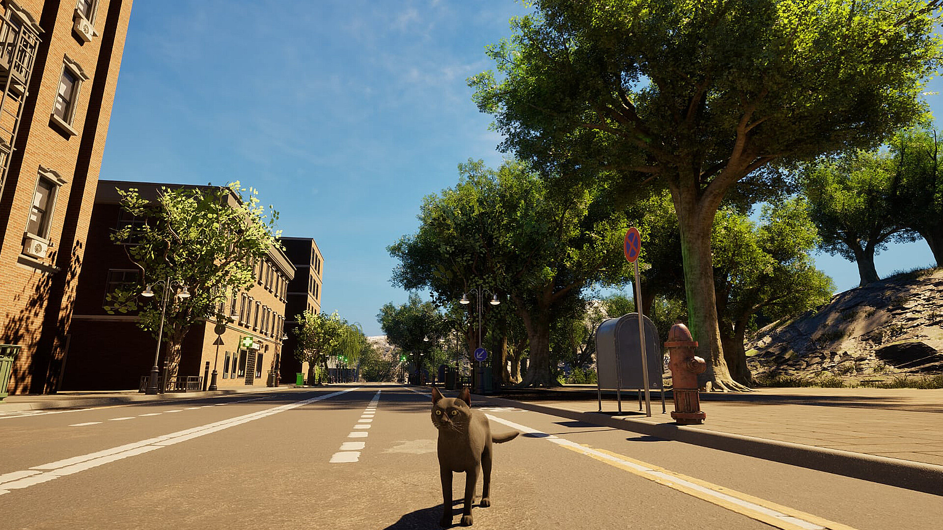 City of Cats on Steam