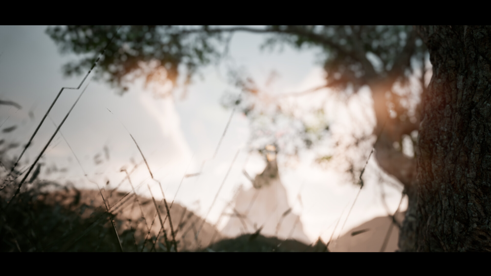 Nietzsche's Shadow on Steam