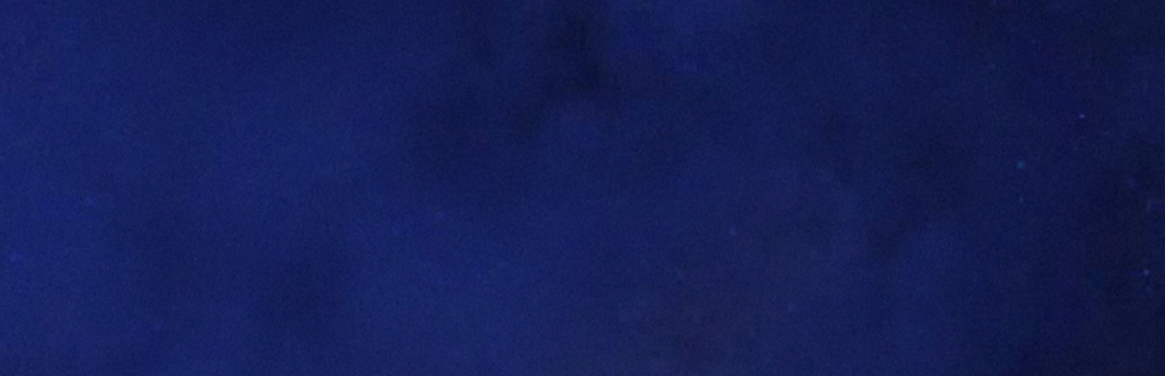 Reckless · Fortnite Steam Charts (App 3632750) · SteamDB