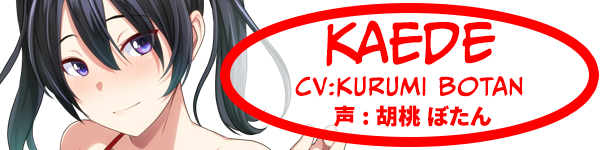 [250725](ENG)オンナが群がるカオスビーチ フェロモンをまき散らす童貞男が練り歩く！ - ACGCBK