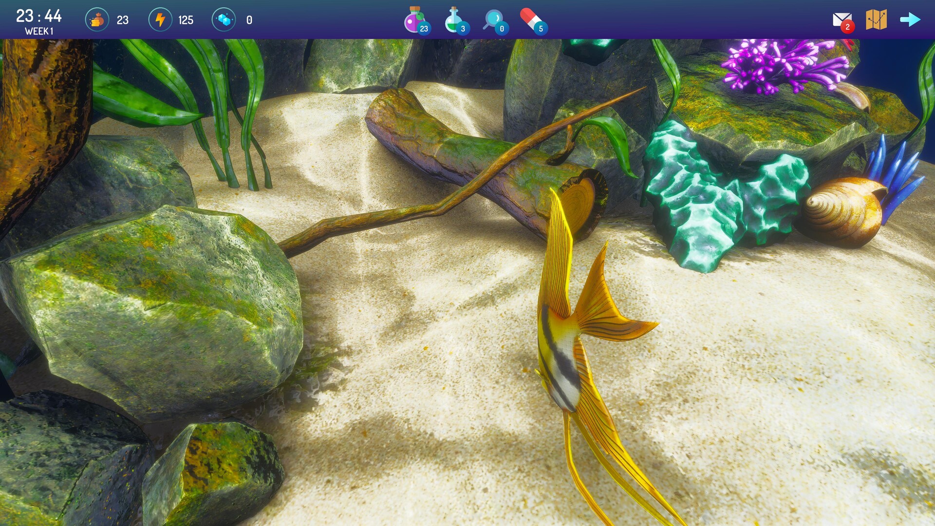 The Aquarium on Steam