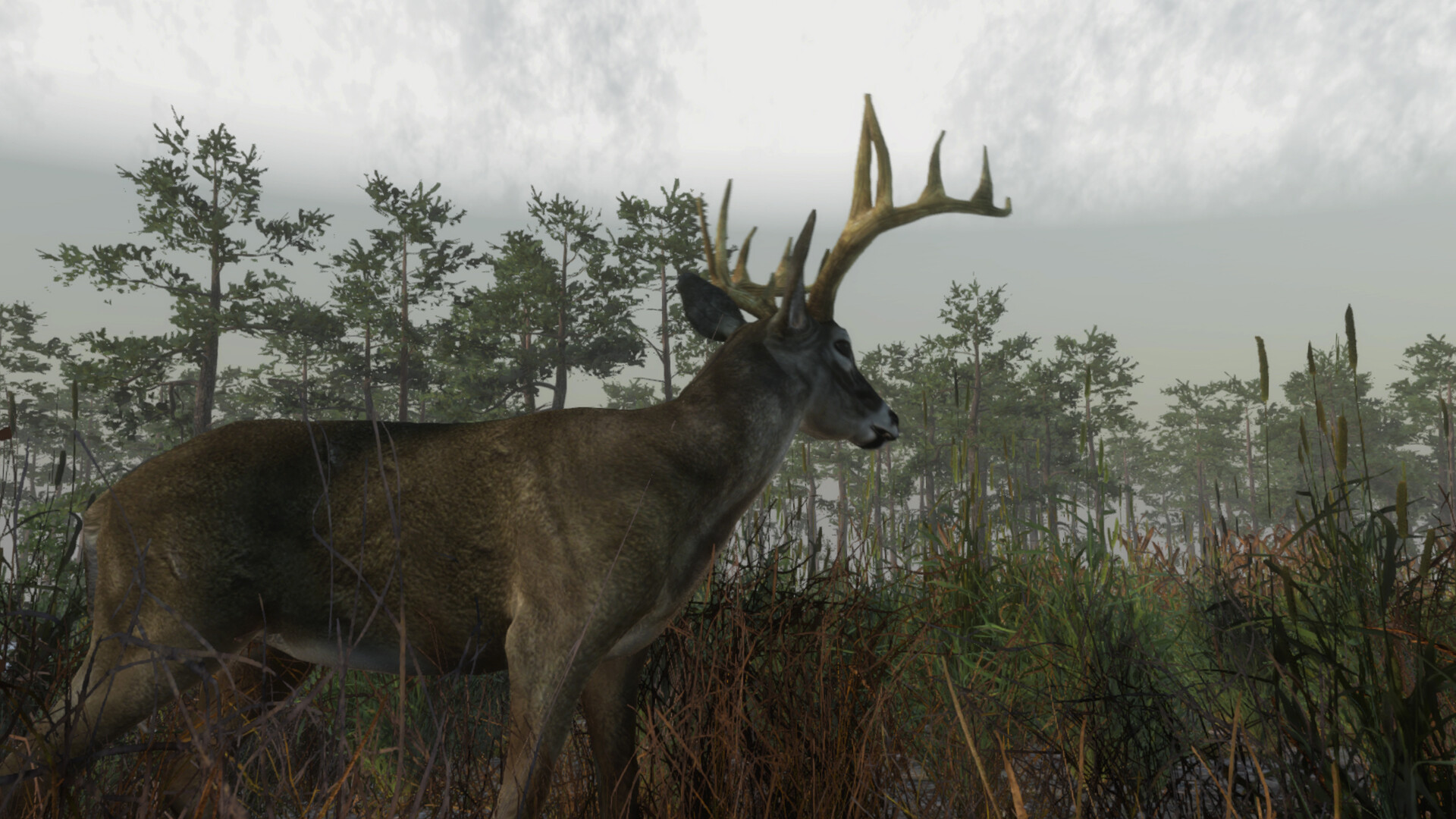 Deer Hunting Camp on Steam