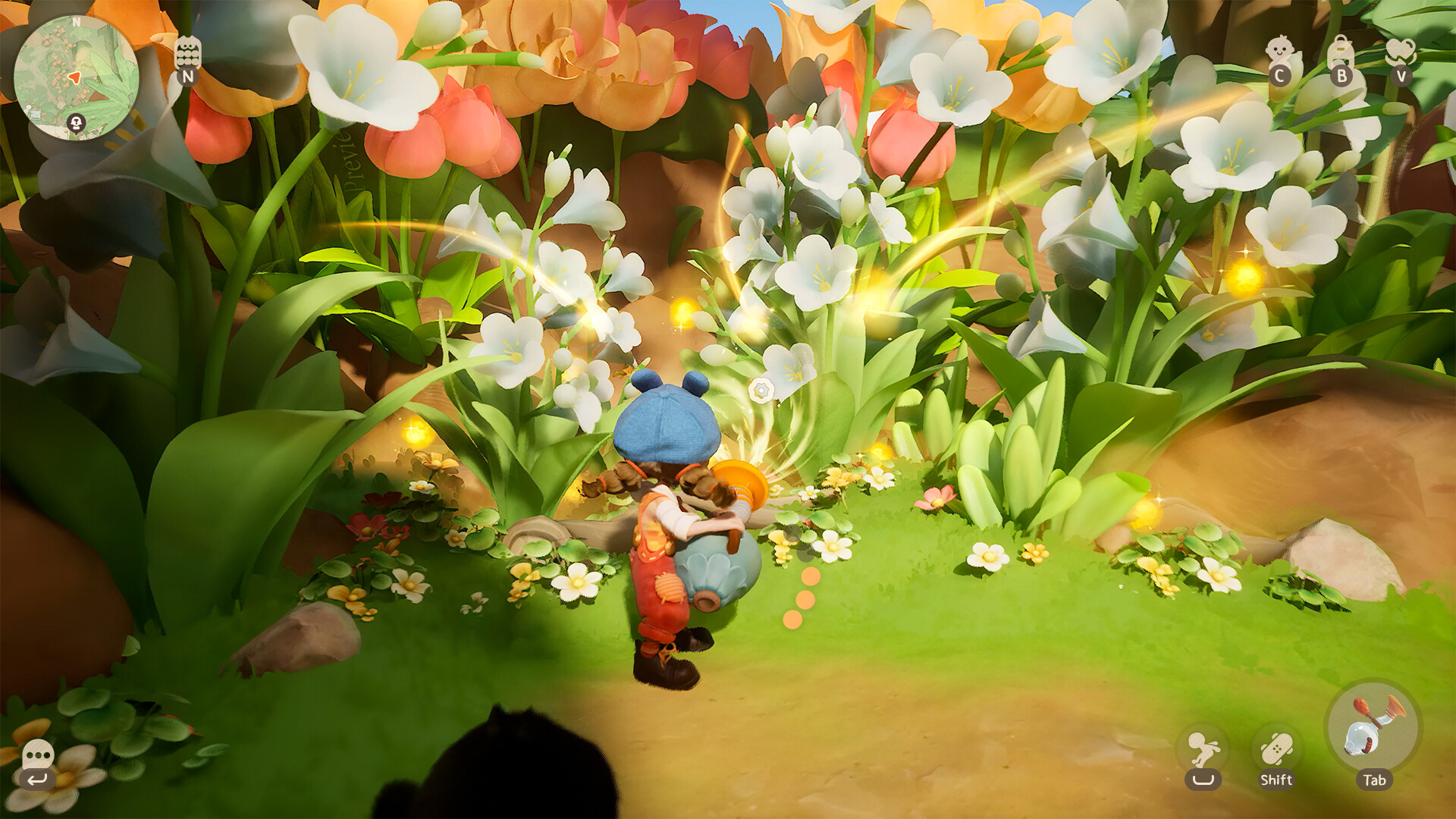 Animula Nook on Steam