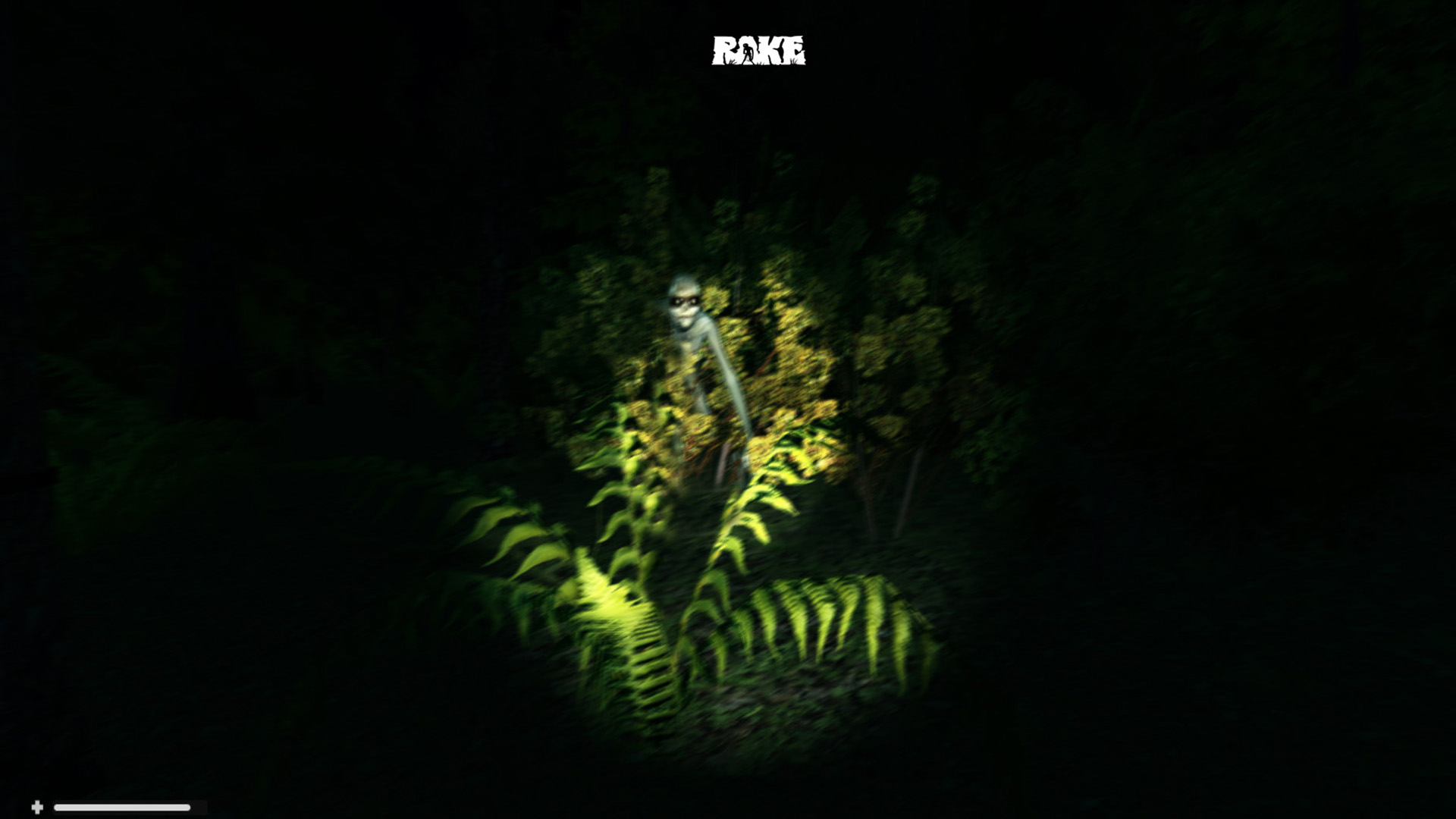Play rake store