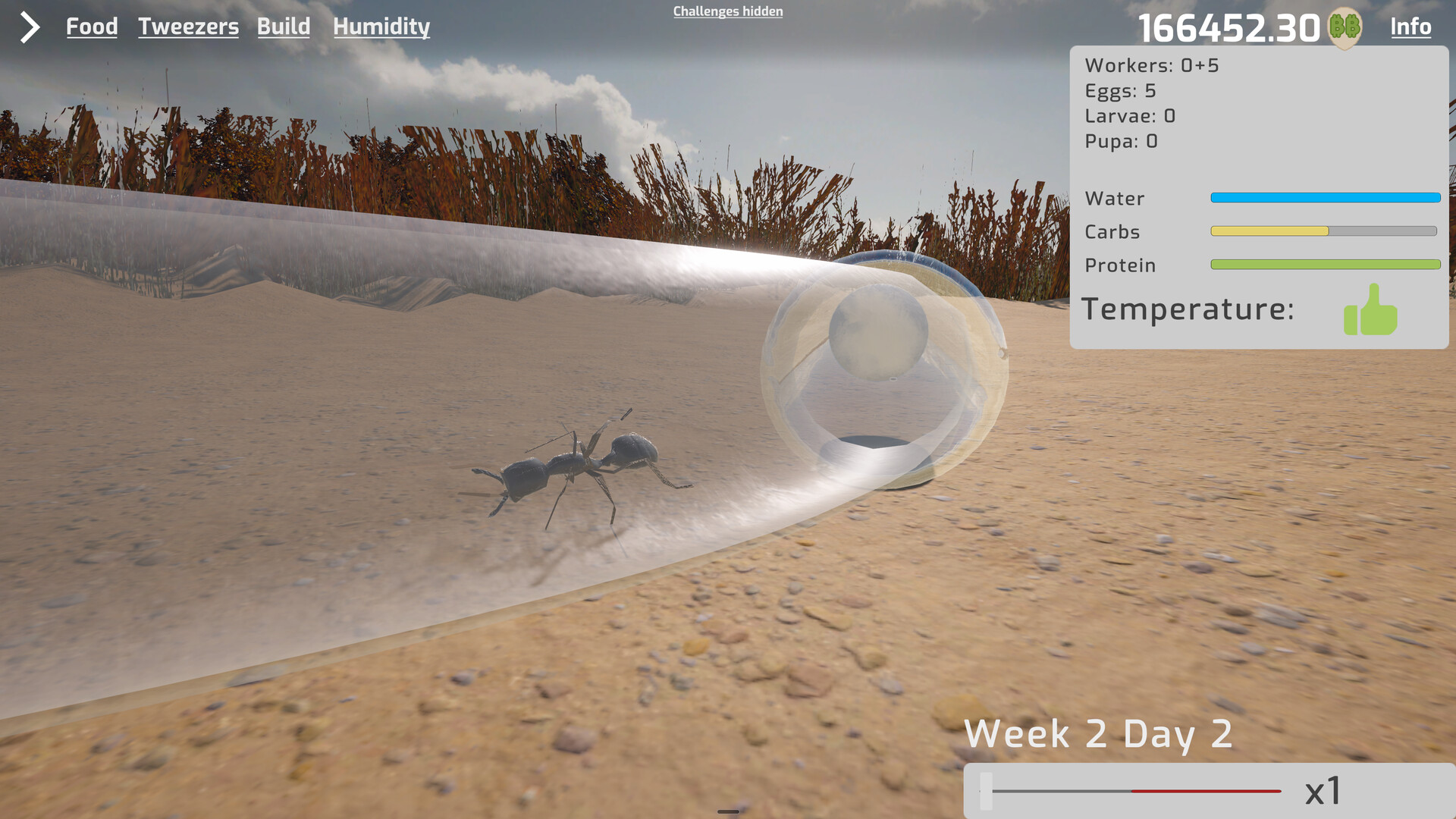 Ant Keeping Simulator - Species Pack 1 у Steam