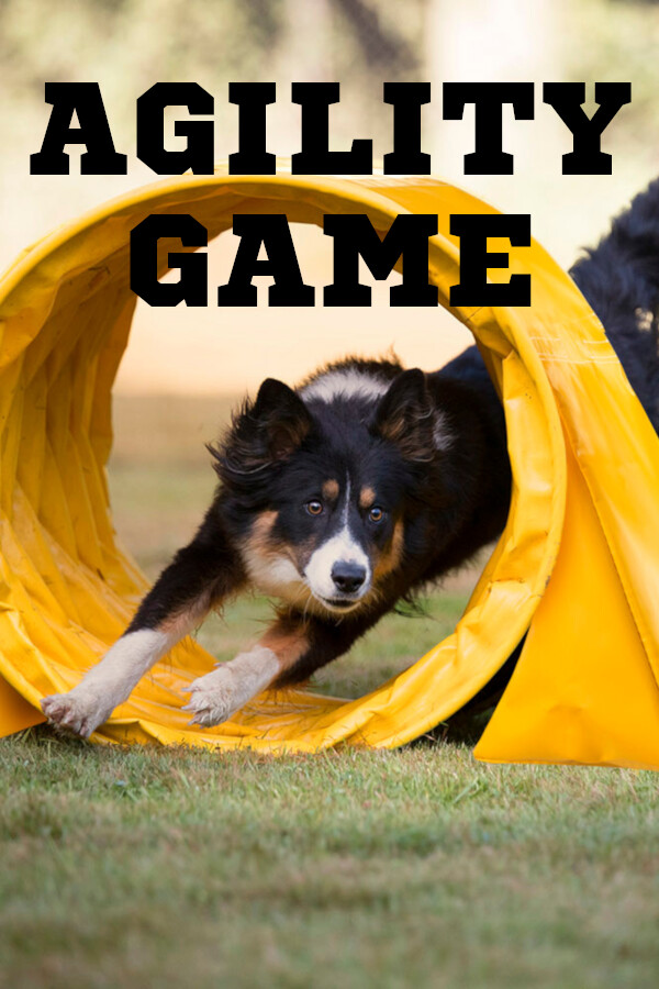 Agility Game Price history · SteamDB