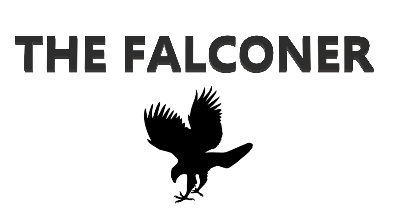 The Falconer History · SteamDB