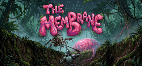 The Membrane on Steam
